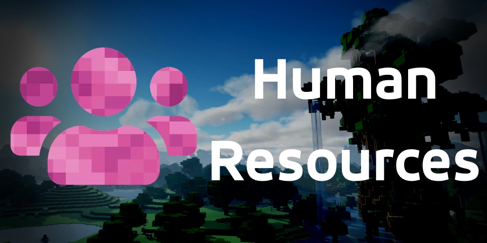 EntryRise - Minecraft Experiences